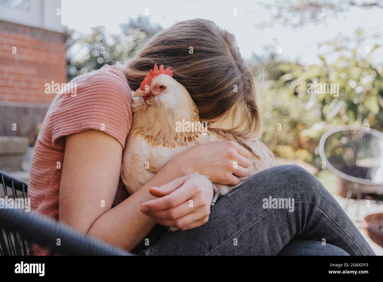Chicken On Chair High Resolution Stock Photography and Images - Alamy