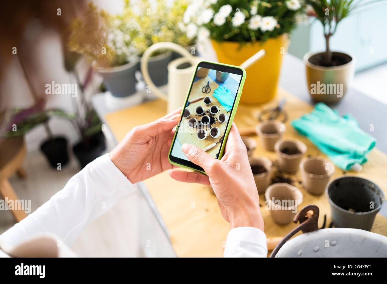 See through pots hi-res stock photography and images - Alamy