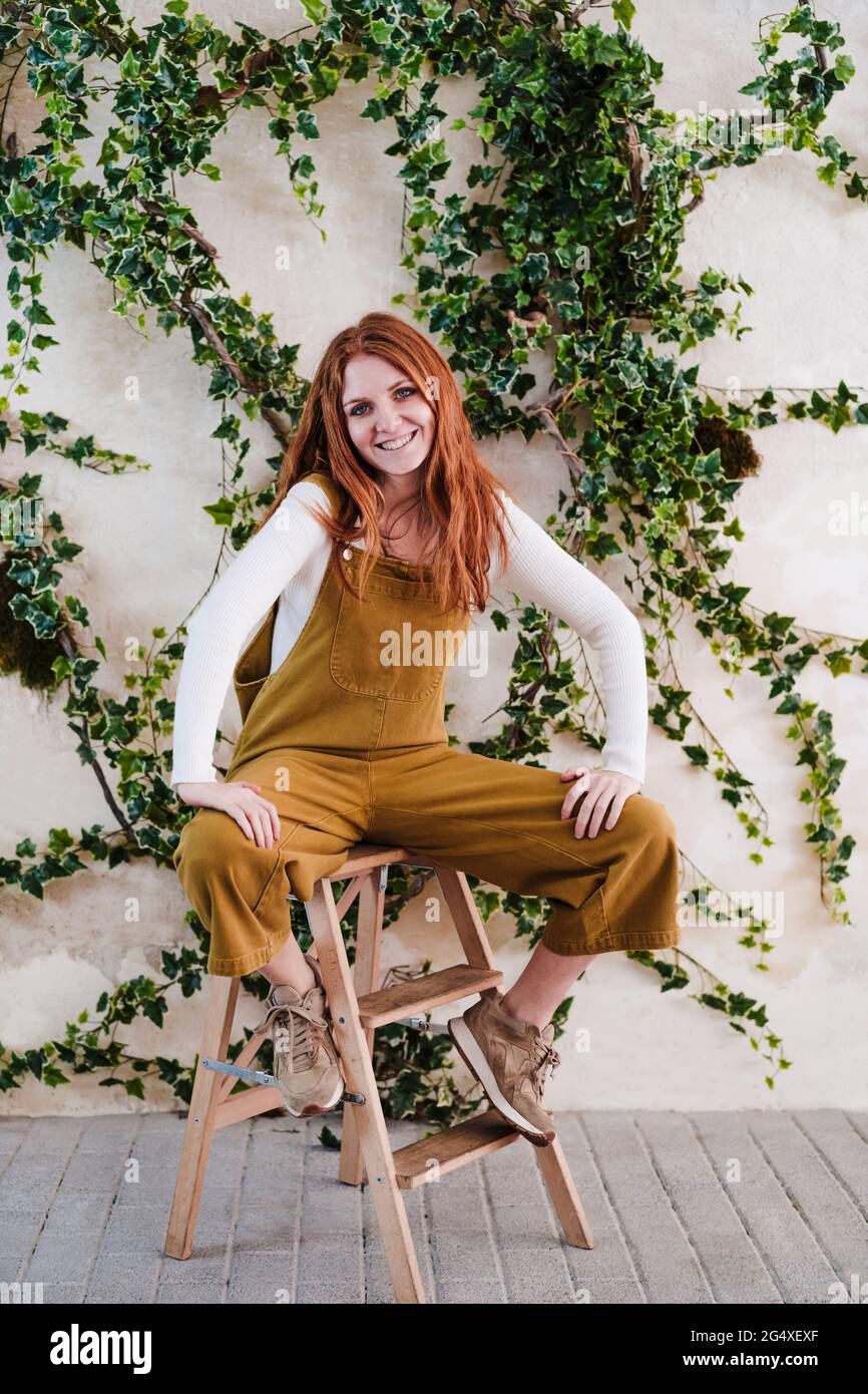 Vine ladder hi-res stock photography and images - Alamy