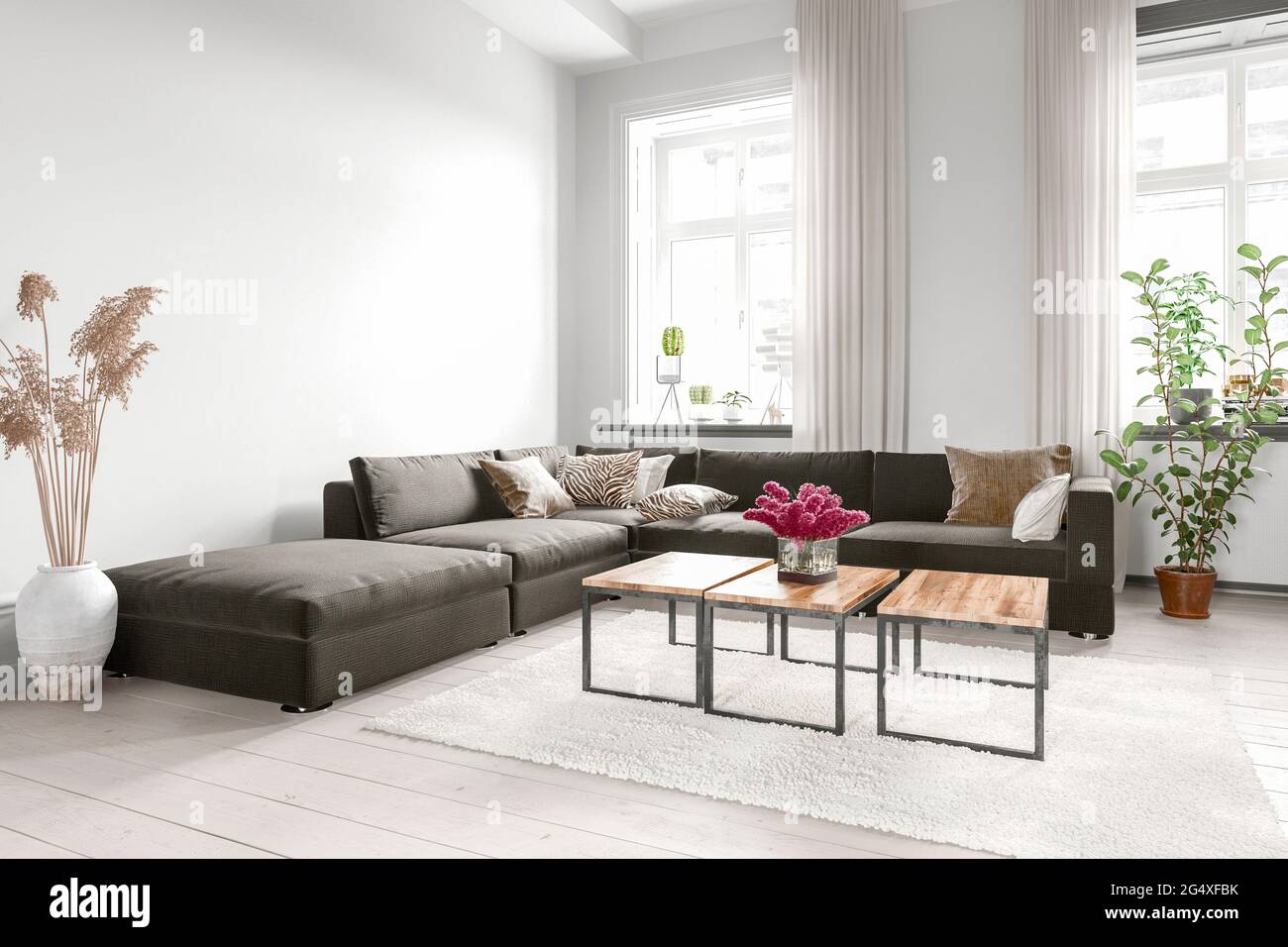 Empty living room interior with sofa Stock Photo - Alamy