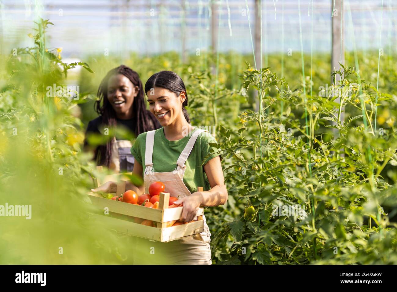 Smiling farmers hi-res stock photography and images - Alamy