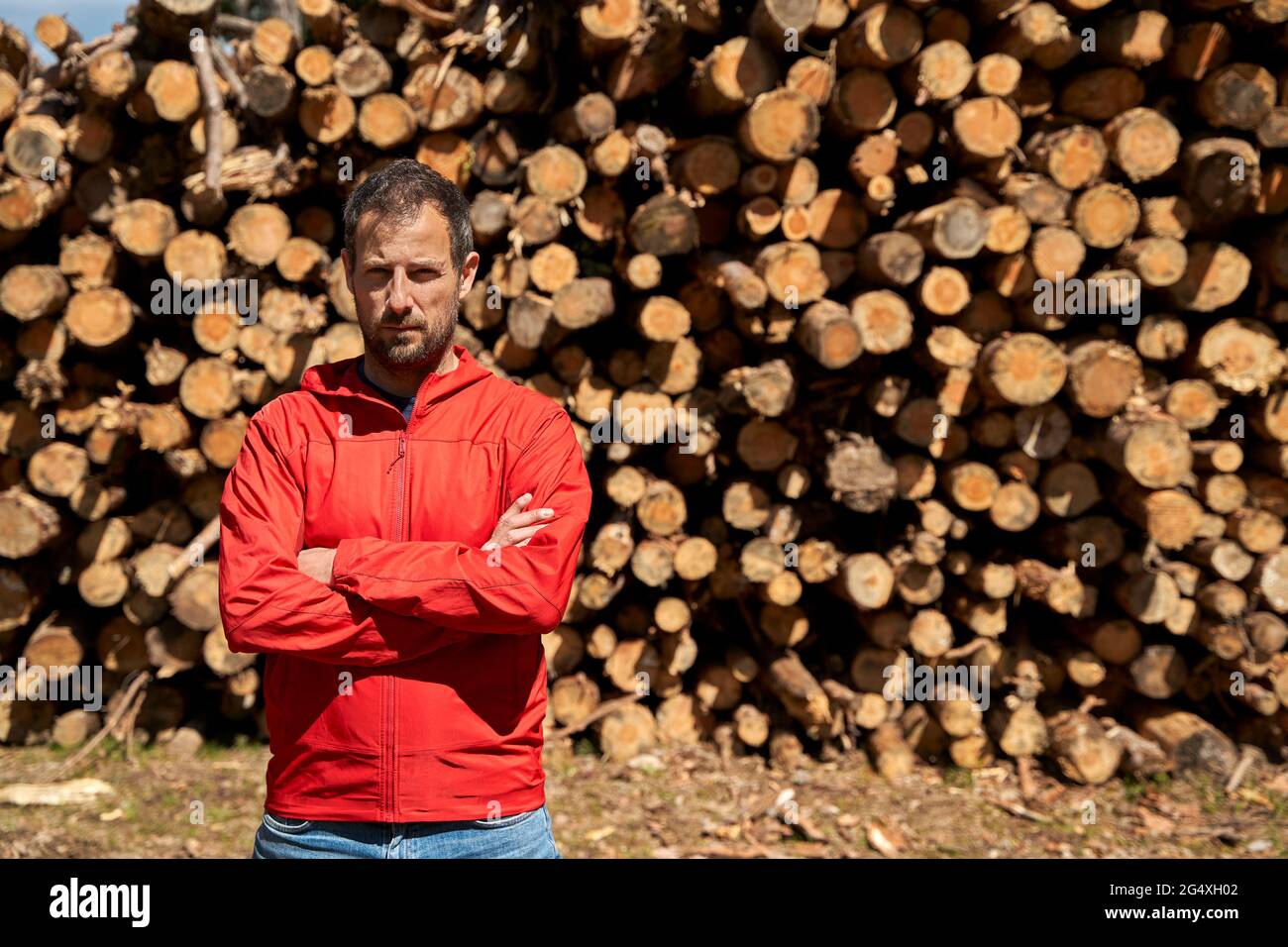 Lumberjack with arms crossed standing in front of logs at lumber ...