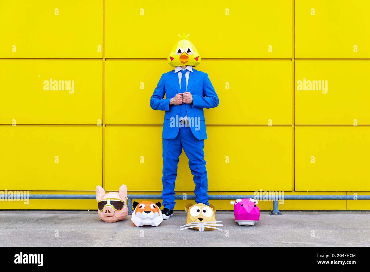 Cat in suit hi-res stock photography and images - Alamy