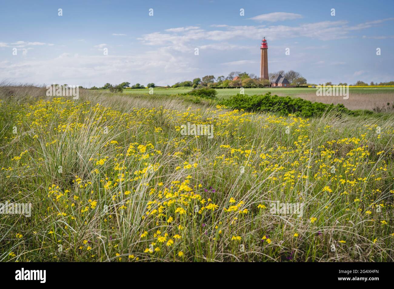 Distant background hi-res stock photography and images - Alamy