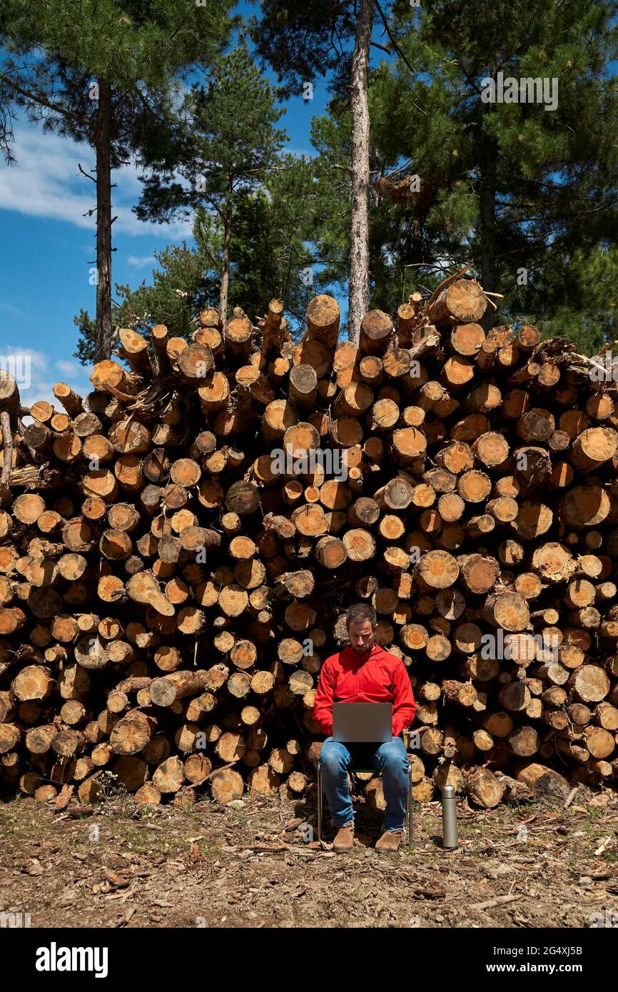 Male Logger Using Laptop Sitting In Front Of Tree Trunks At Lumber