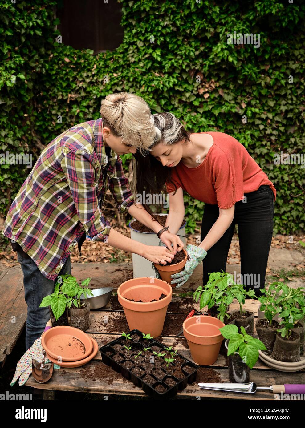 Putting pepper on food hi-res stock photography and images - Alamy