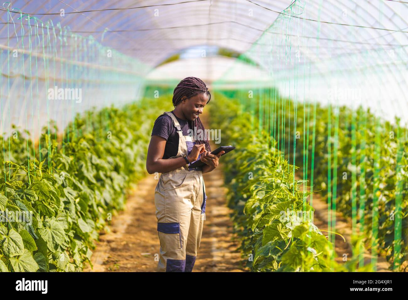 Farmer using technology hi-res stock photography and images - Alamy