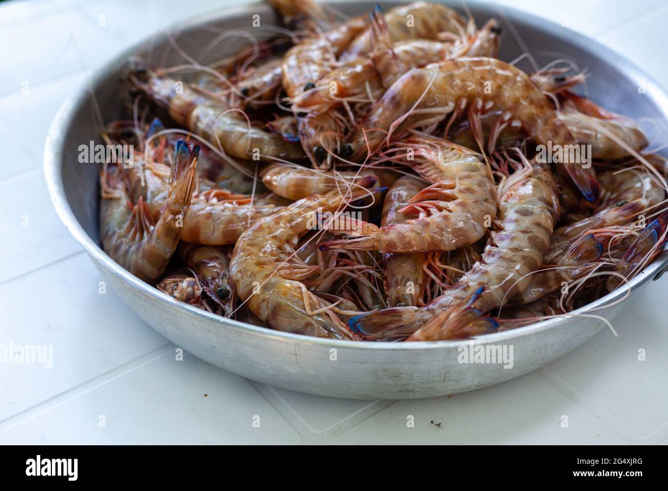raw wild adriatic sea fresh prawns Stock Photo - Alamy