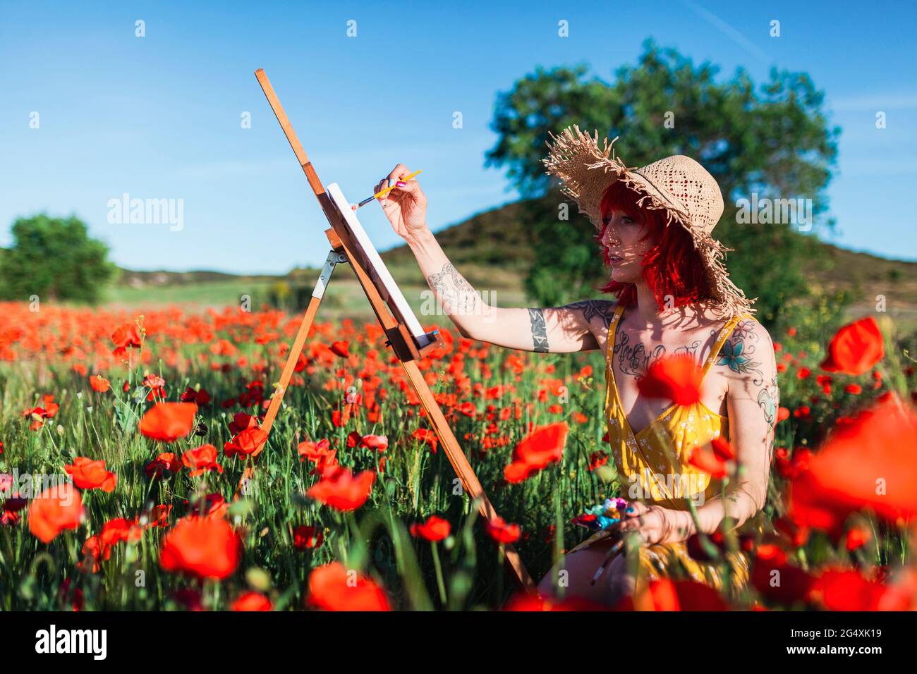 Female artist painting on canvas amidst poppy flowers during sunny day ...