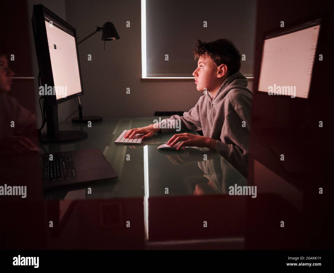 Boy using computer while studying at home Stock Photo - Alamy