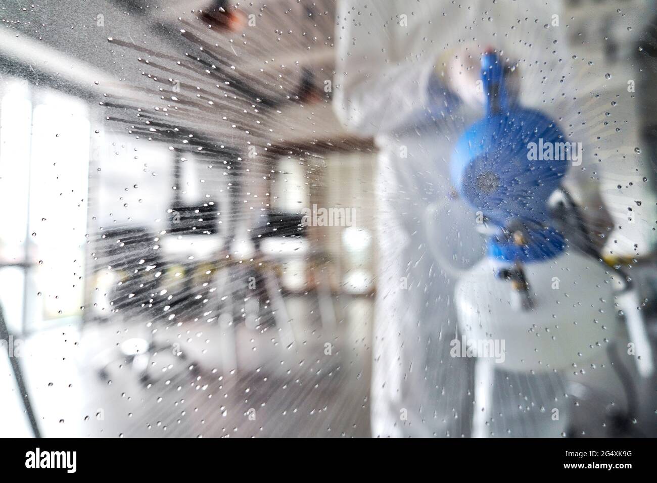Female sanitation worker splashing disinfecting chemical in office ...