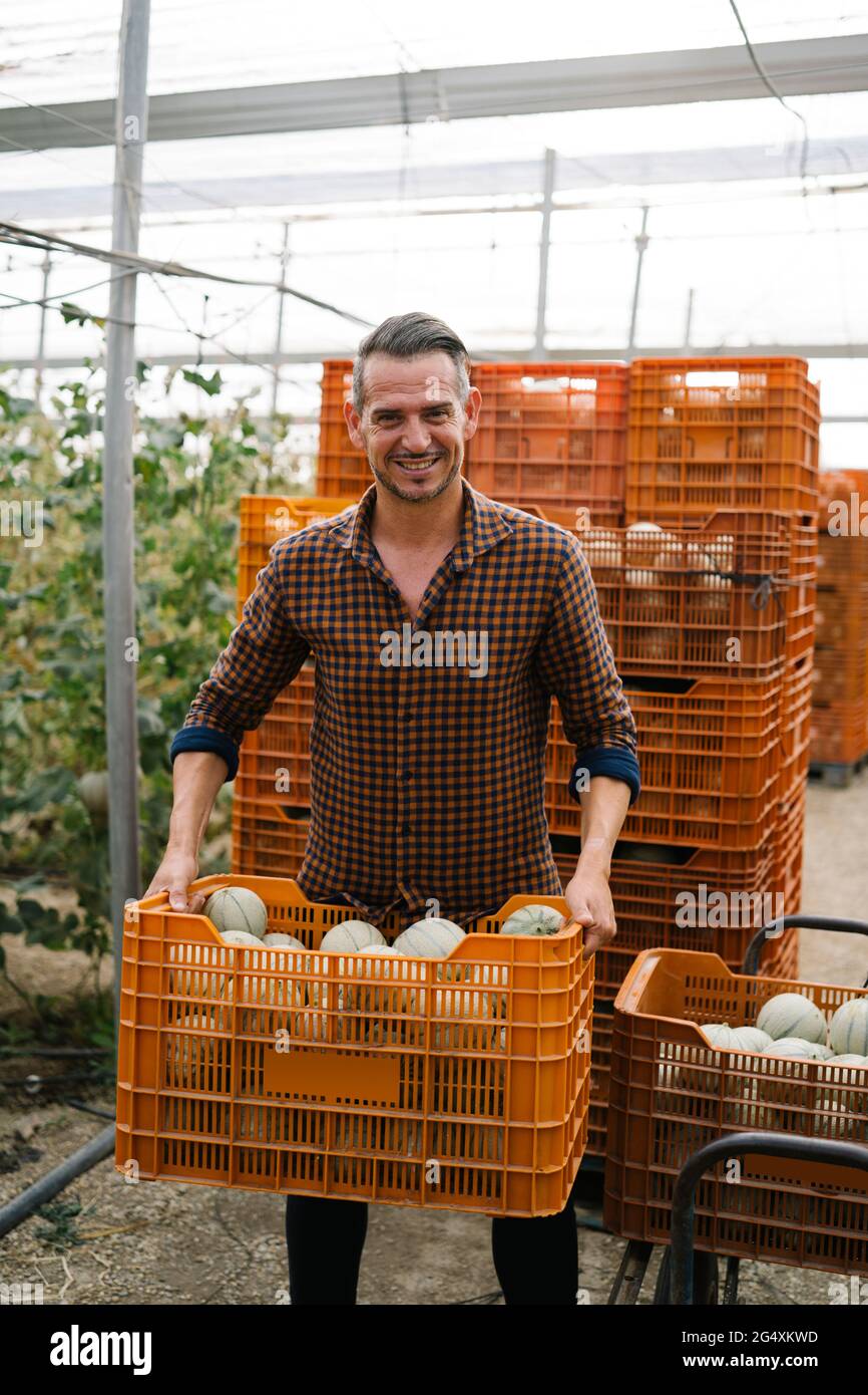 Smiling farmer carrying crate of melons at greenhouse Stock Photo - Alamy