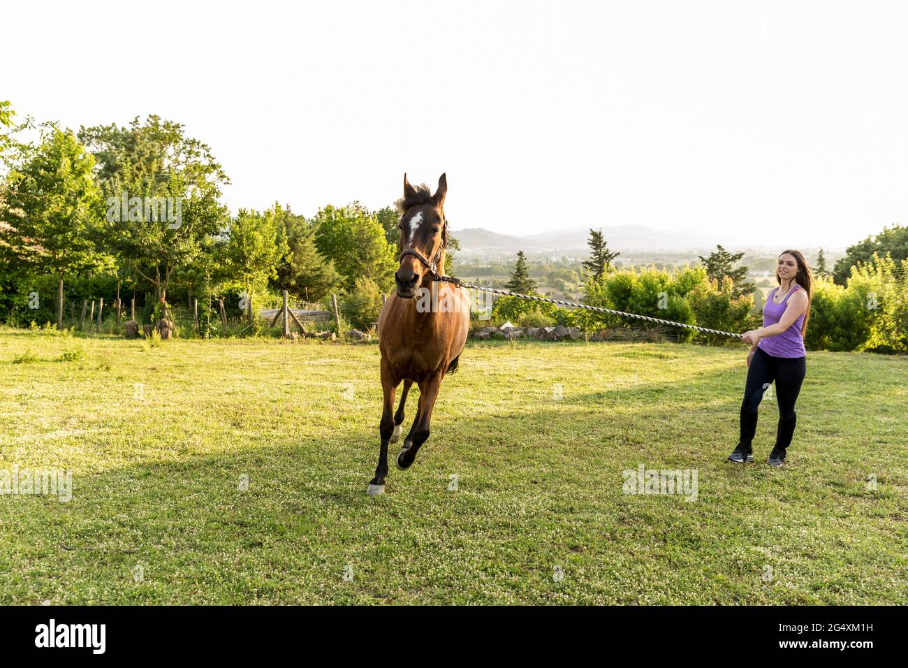 Woman controlling horse while standing at ranch Stock Photo - Alamy