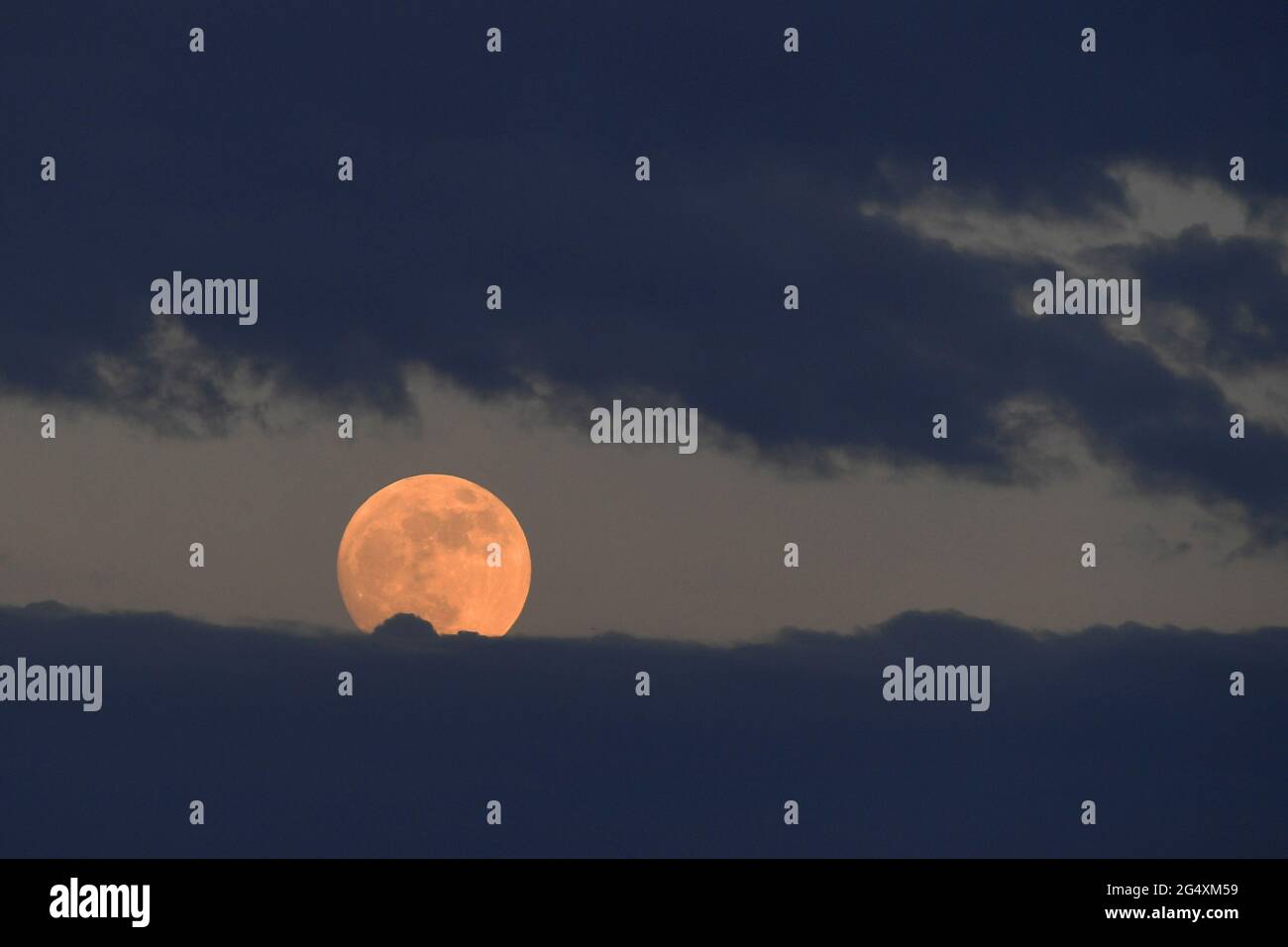 Hatching year marking hi-res stock photography and images - Alamy