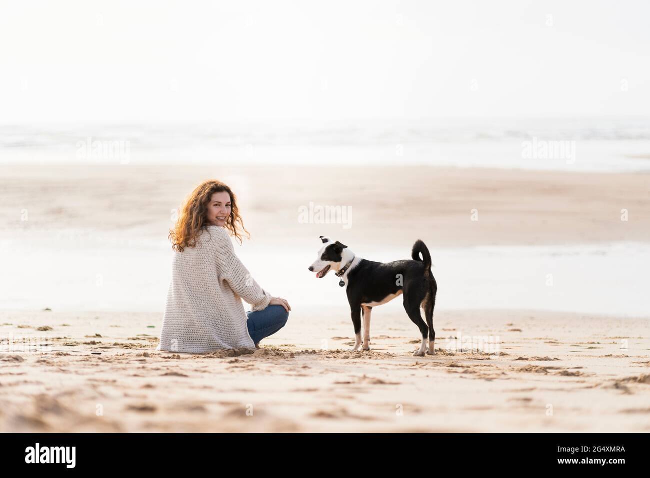 Dog Looking Over His Shoulder High Resolution Stock Photography and ...