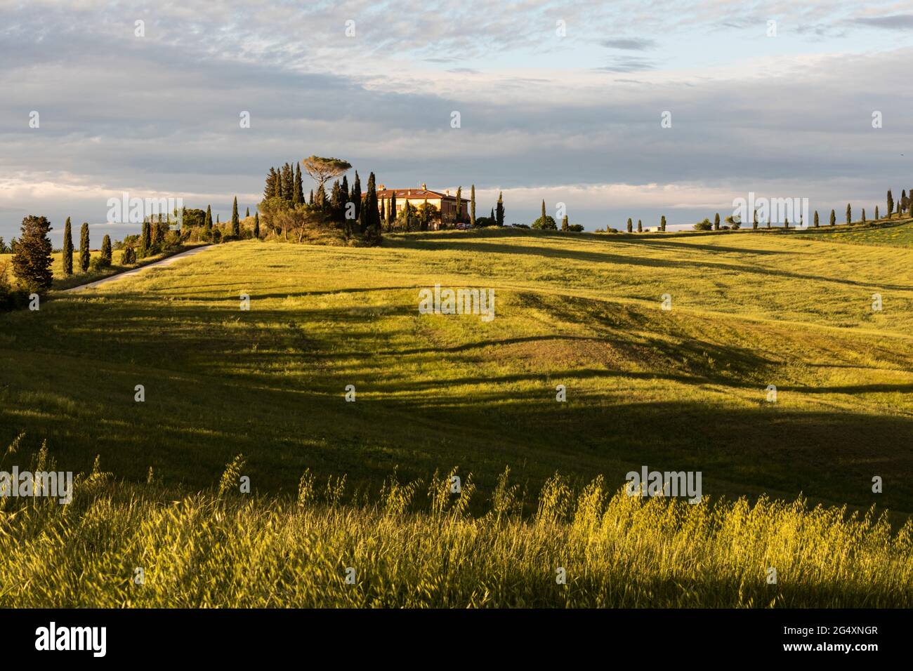 Rolling countryside in spring with farmhouse in background Stock Photo ...