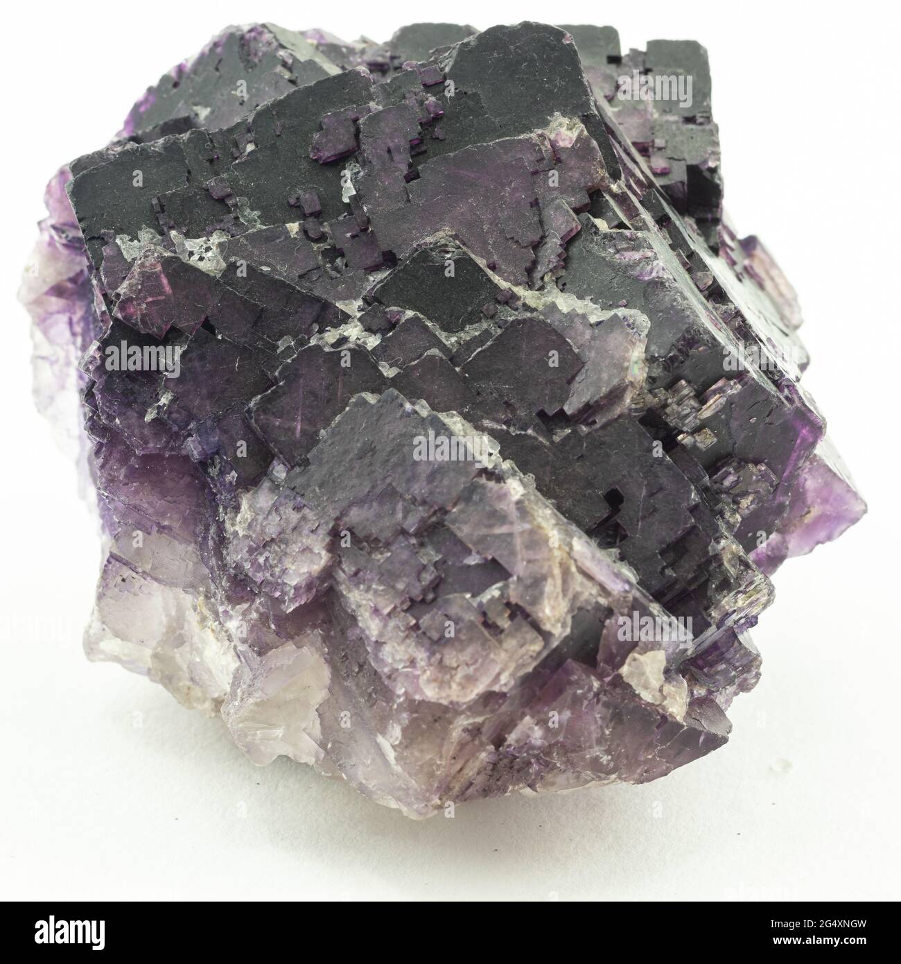 mineral sample of violet fluorite with many cubic crystals Stock Photo ...