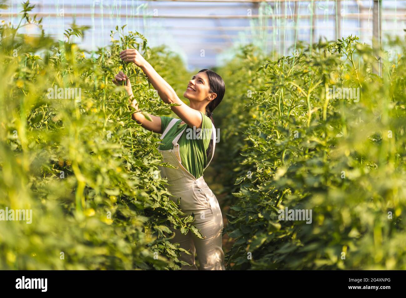 Farmer support hi-res stock photography and images - Alamy