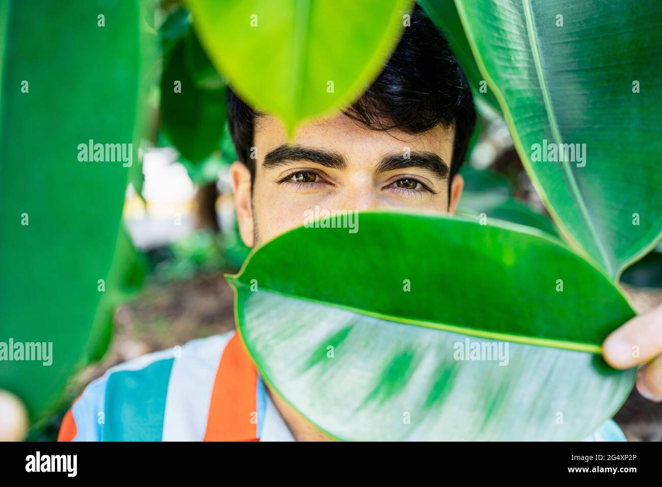 Young man covering face with green leaf Stock Photo - Alamy
