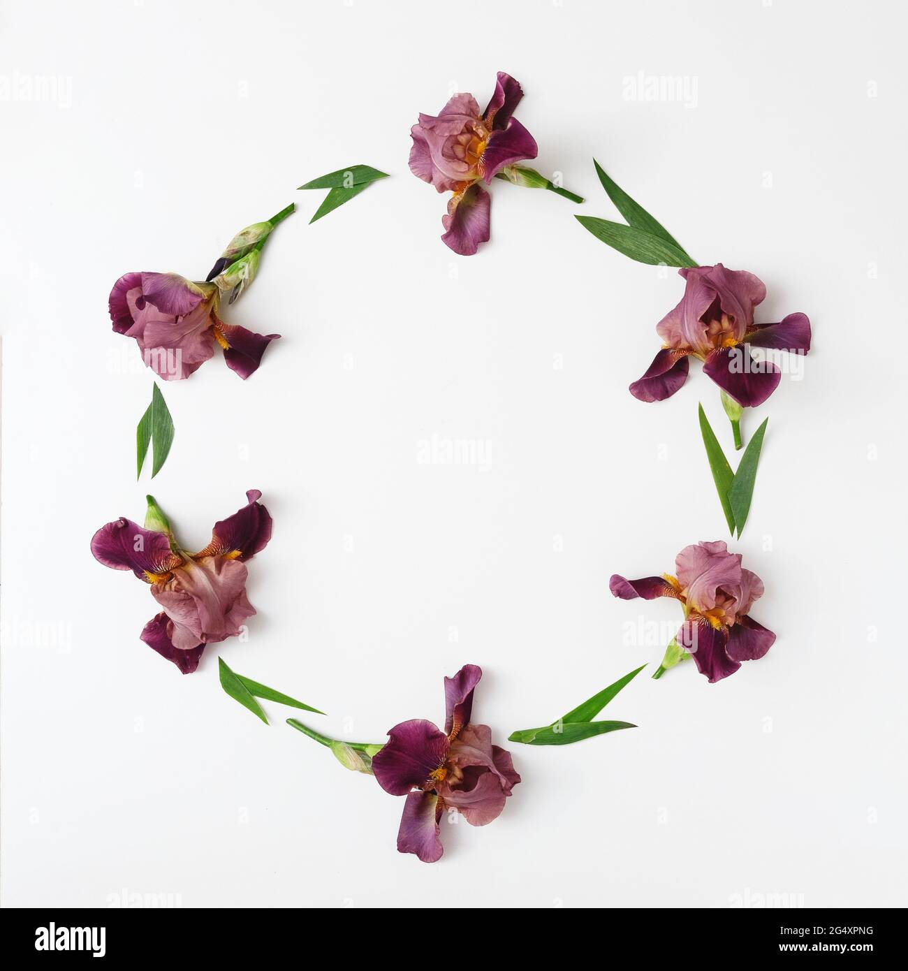 Iris wreath hi-res stock photography and images - Alamy