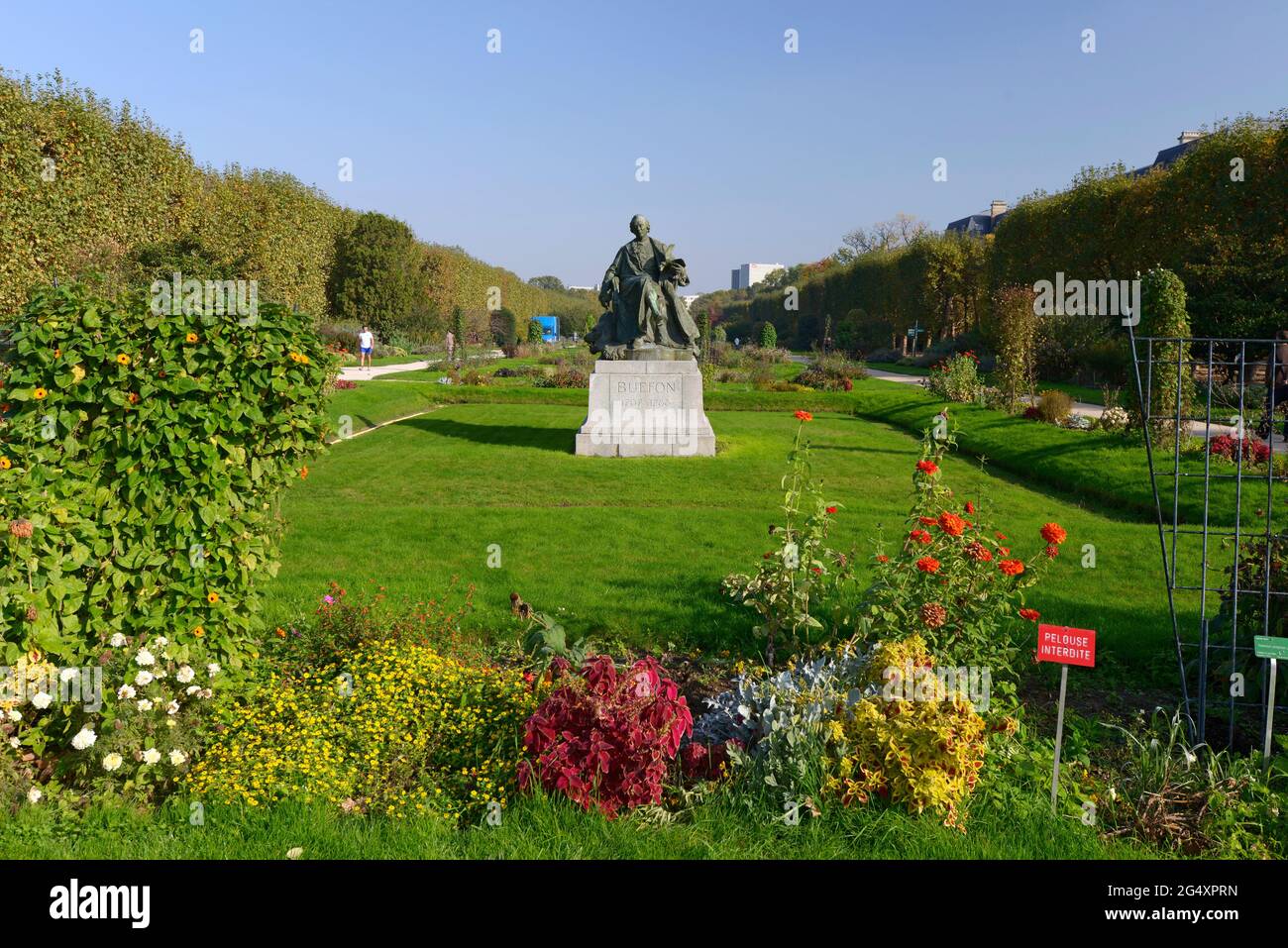 Buffon paris hi-res stock photography and images - Alamy