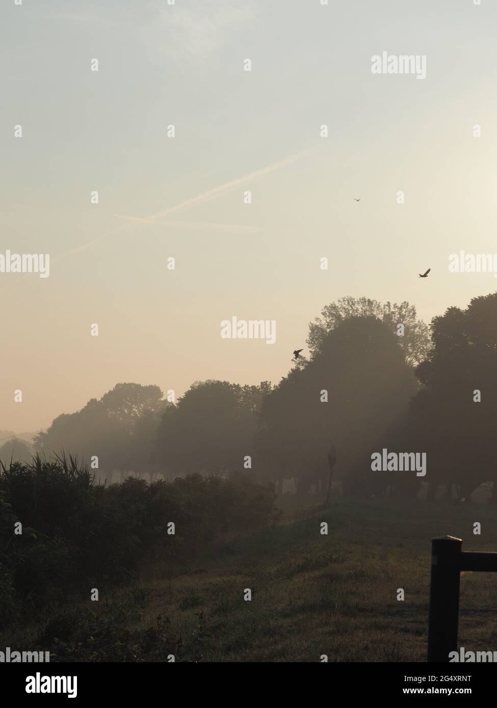 Wakonda beach hi-res stock photography and images - Alamy