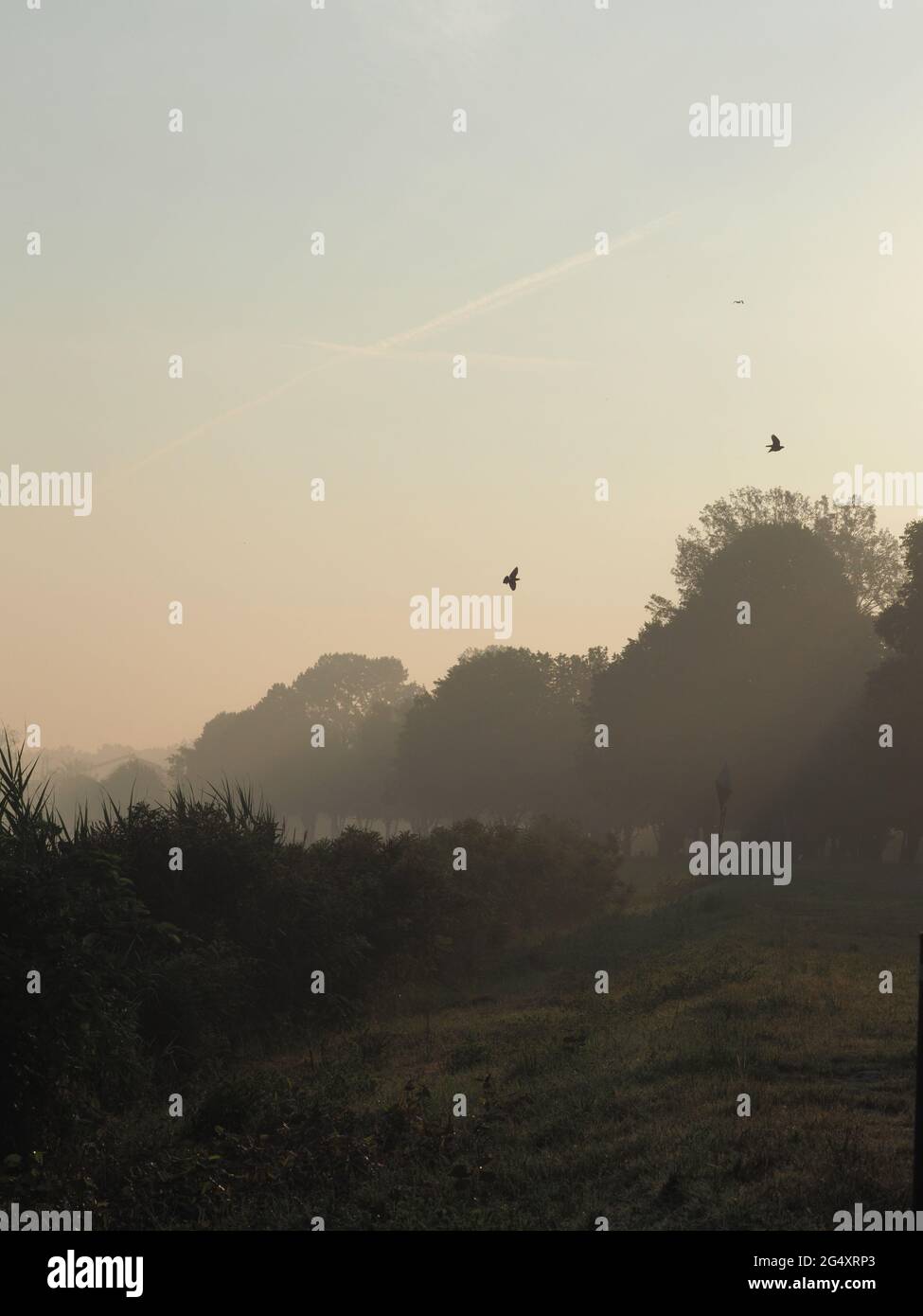 Valentina Romano a.k.a. Wakonda singer traveler nomad in Italy, Euorpe ...