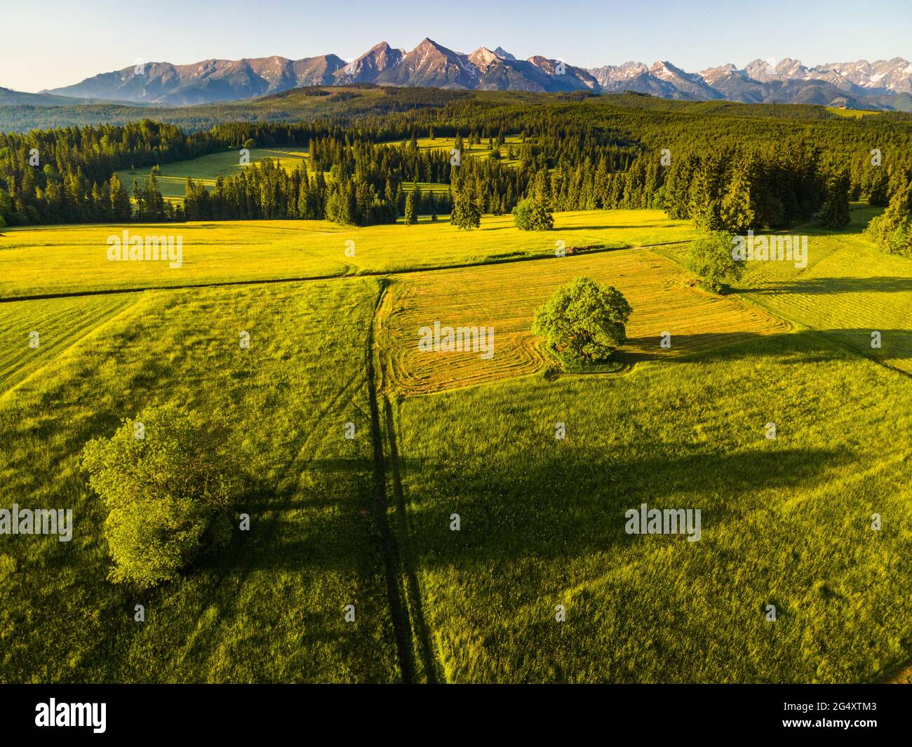 Aerial Drone View of Lapszanka Meadow and High Tatras in Poland Stock ...