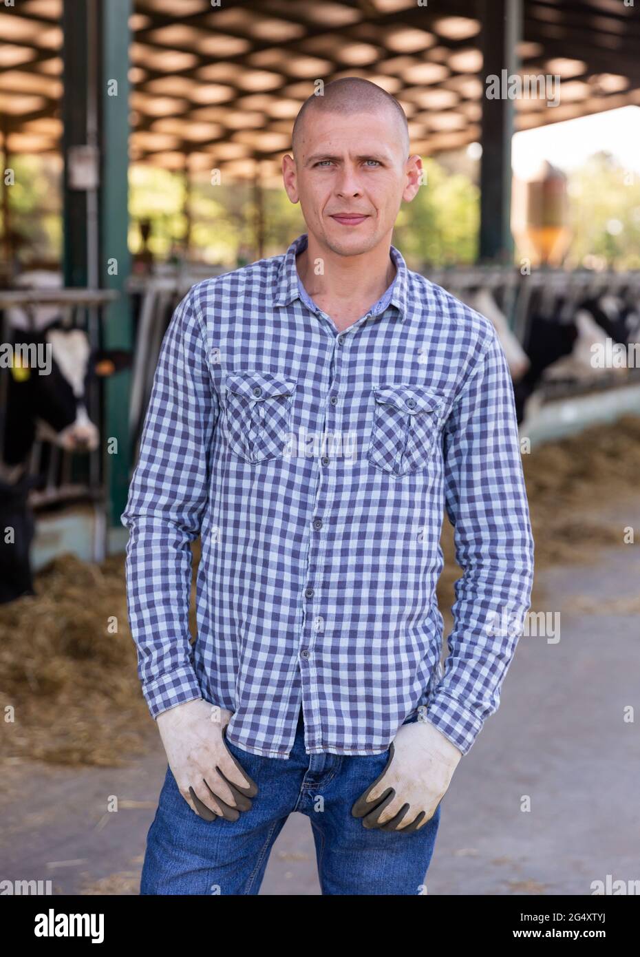 Male farmer posing at cowshed on farm Stock Photo - Alamy