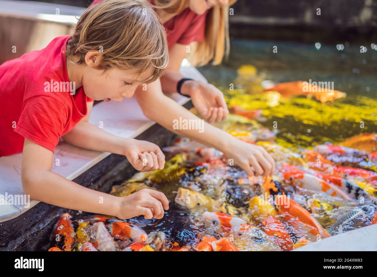 Children Feeding Carp High Resolution Stock Photography and Images - Alamy