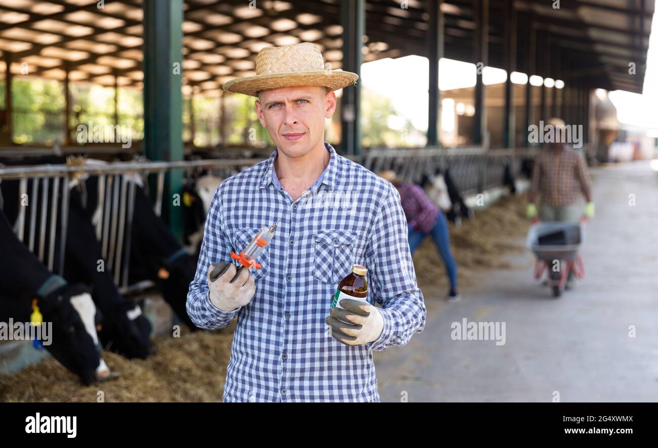 Farmer with syringe and medicine in his hands at dairy farm Stock Photo ...