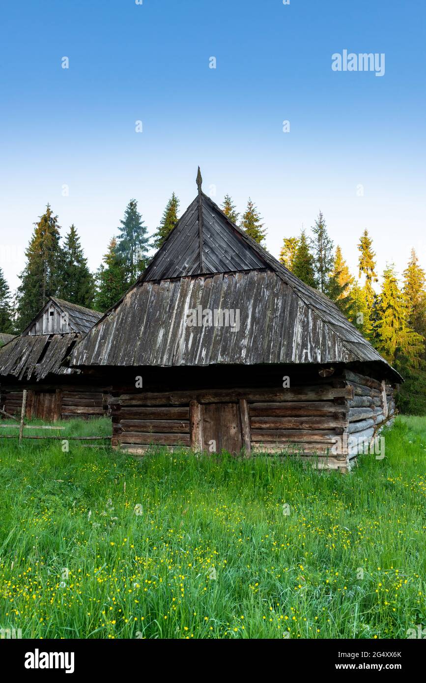 Traditional Log Cabin Shepherd Hut in Jurgow Heritage Village in ...