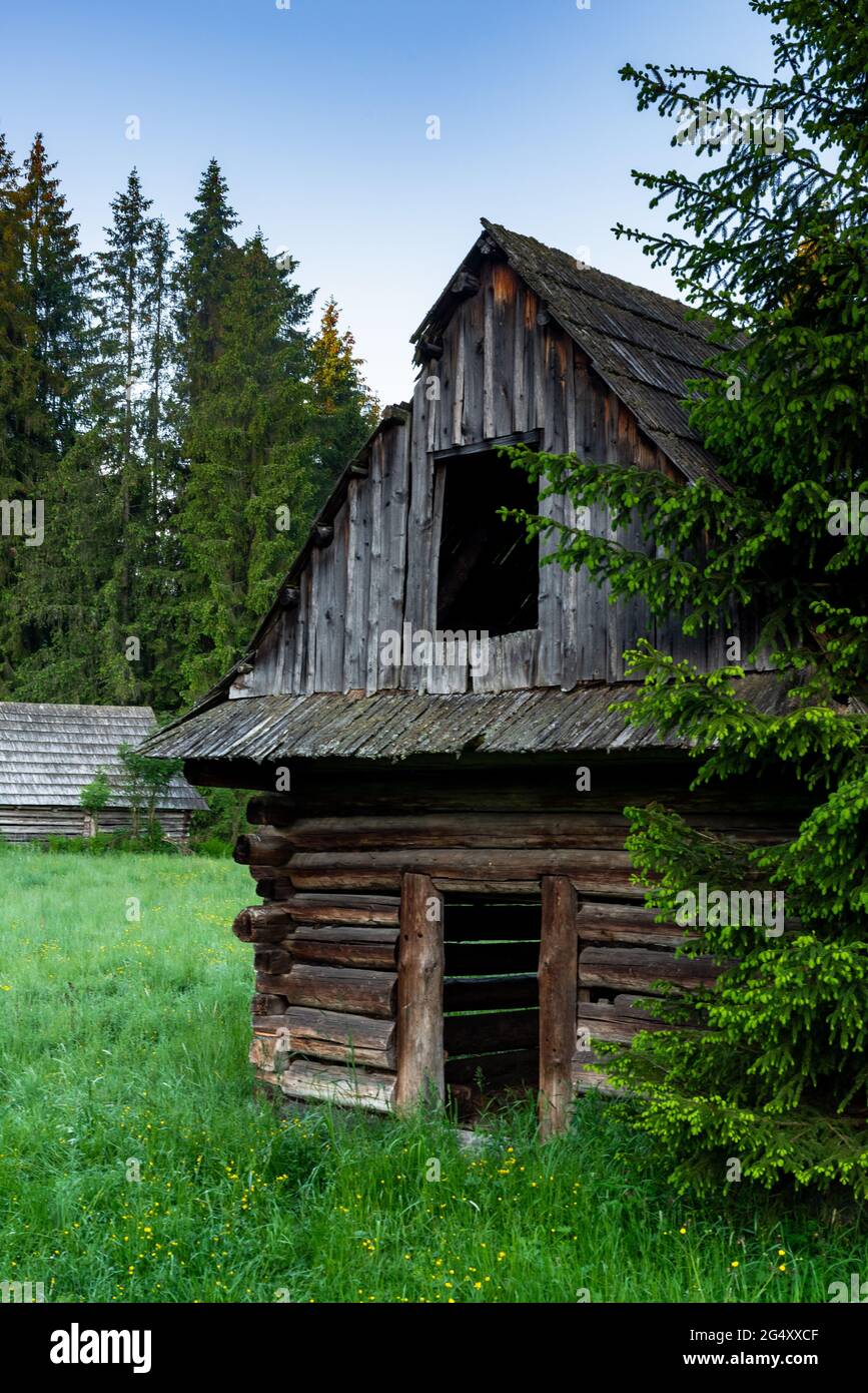 Traditional Log Cabin Shepherd Hut in Jurgow Heritage Village in ...