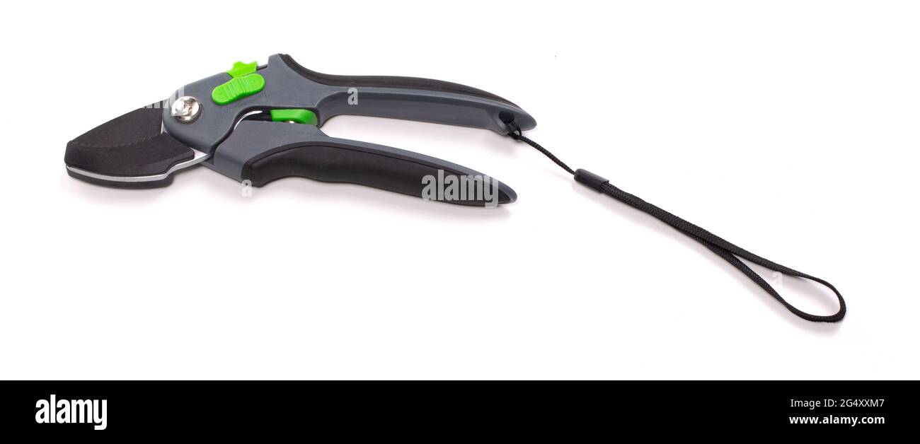 Modern garden scissor tool isolated on white Stock Photo - Alamy