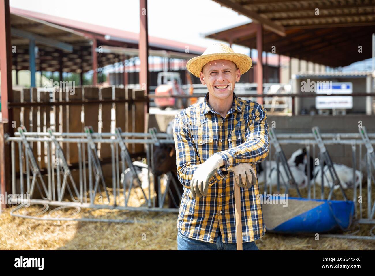 Male farmer posing in cowshed at the cow farm Stock Photo - Alamy