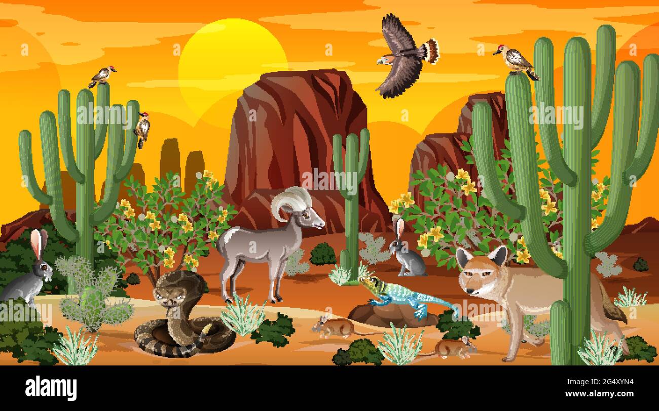 Canyon bird Stock Vector Images - Alamy