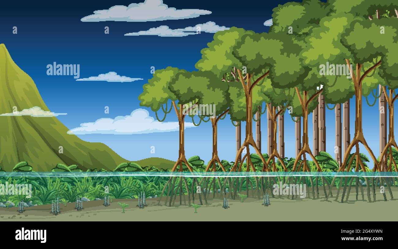 Nature scene with Mangrove forest at night in cartoon style ...