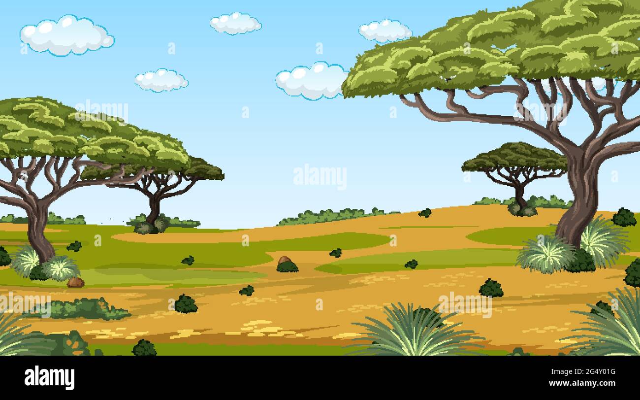 African forest landscape at daytime scene with many big trees ...