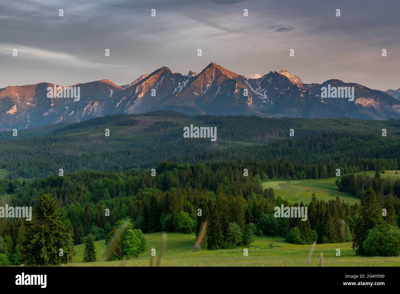 Lapszanka hi-res stock photography and images - Alamy