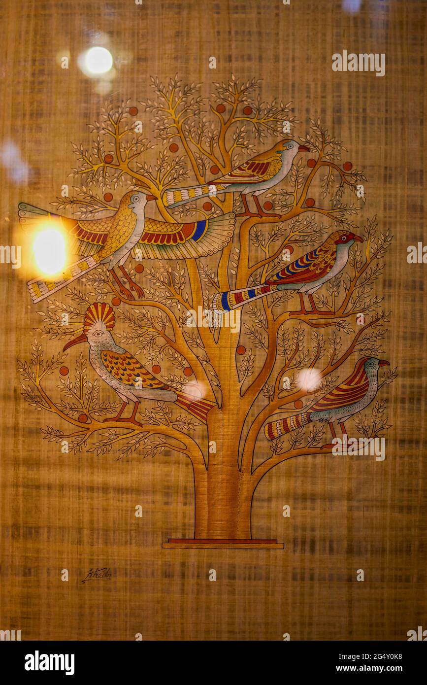 Papyrus. Old natural paper from Egypt Stock Photo - Alamy