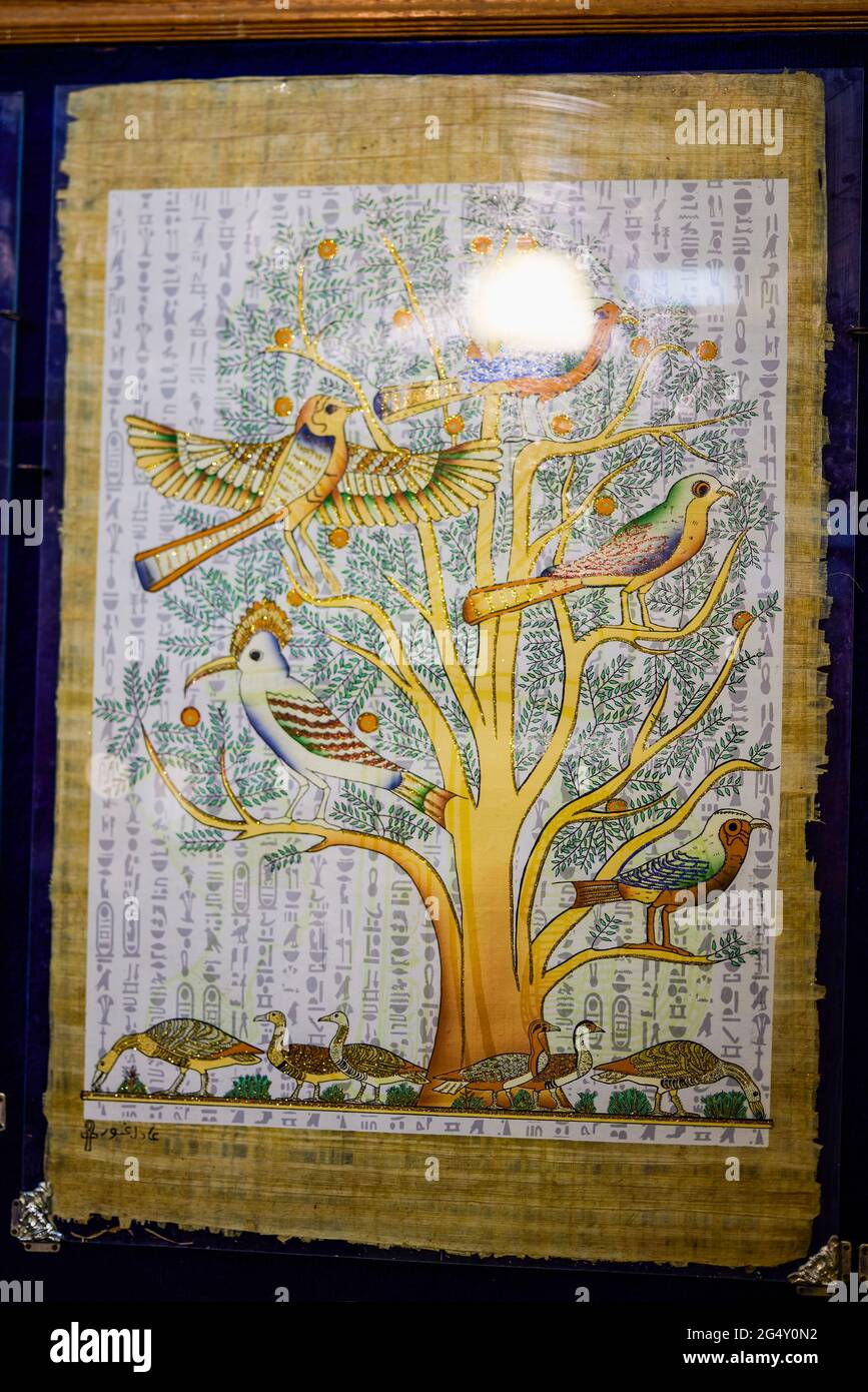 Papyrus. Old natural paper from Egypt Stock Photo - Alamy