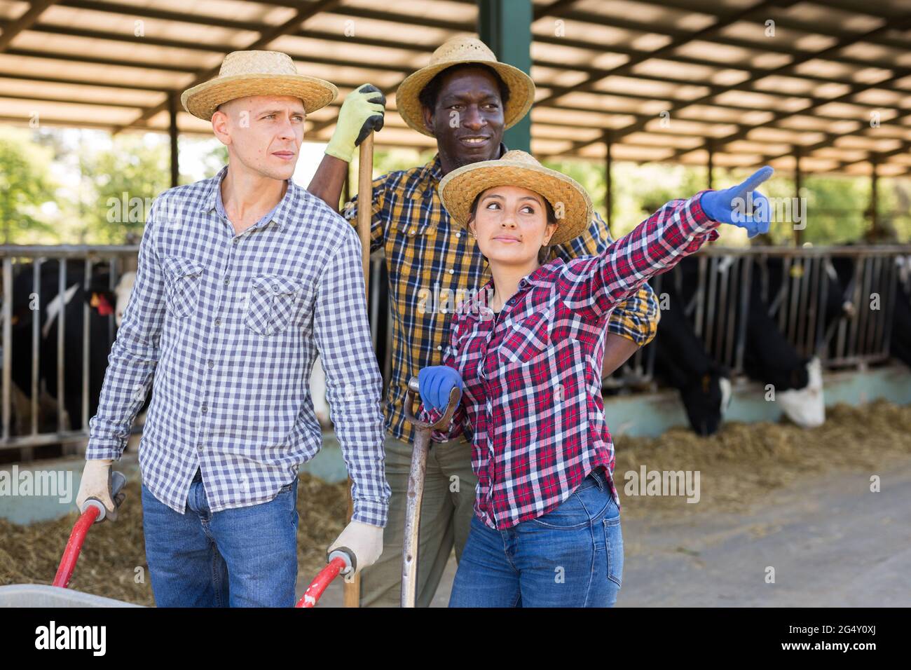 Three farmers hi-res stock photography and images - Alamy