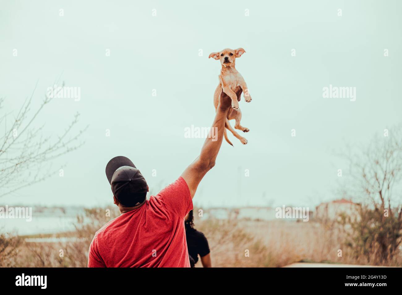 Rear view of a man lifting his dog against a blurred background Stock ...