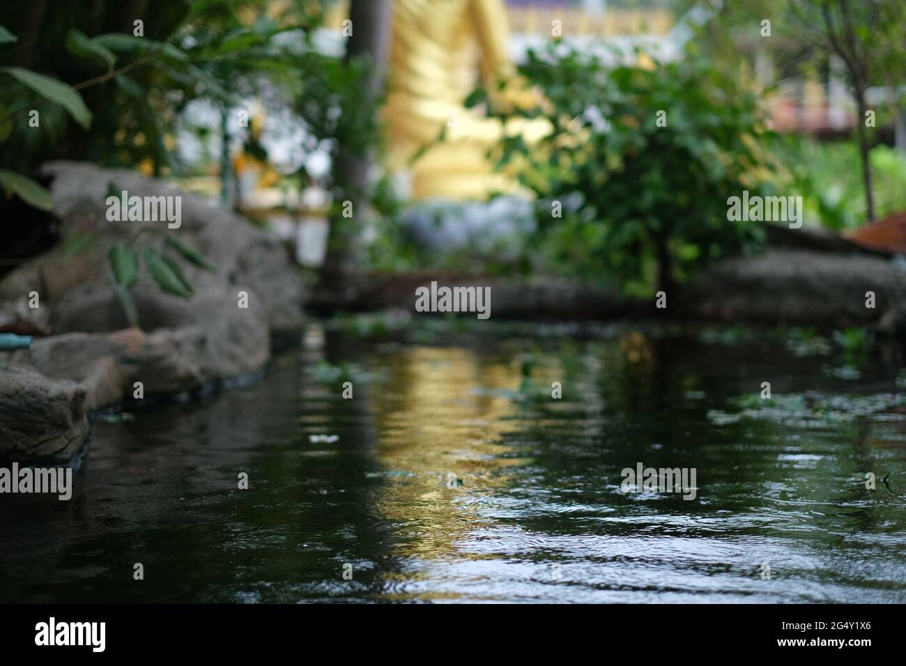 Buddha reflection in water hi-res stock photography and images - Alamy