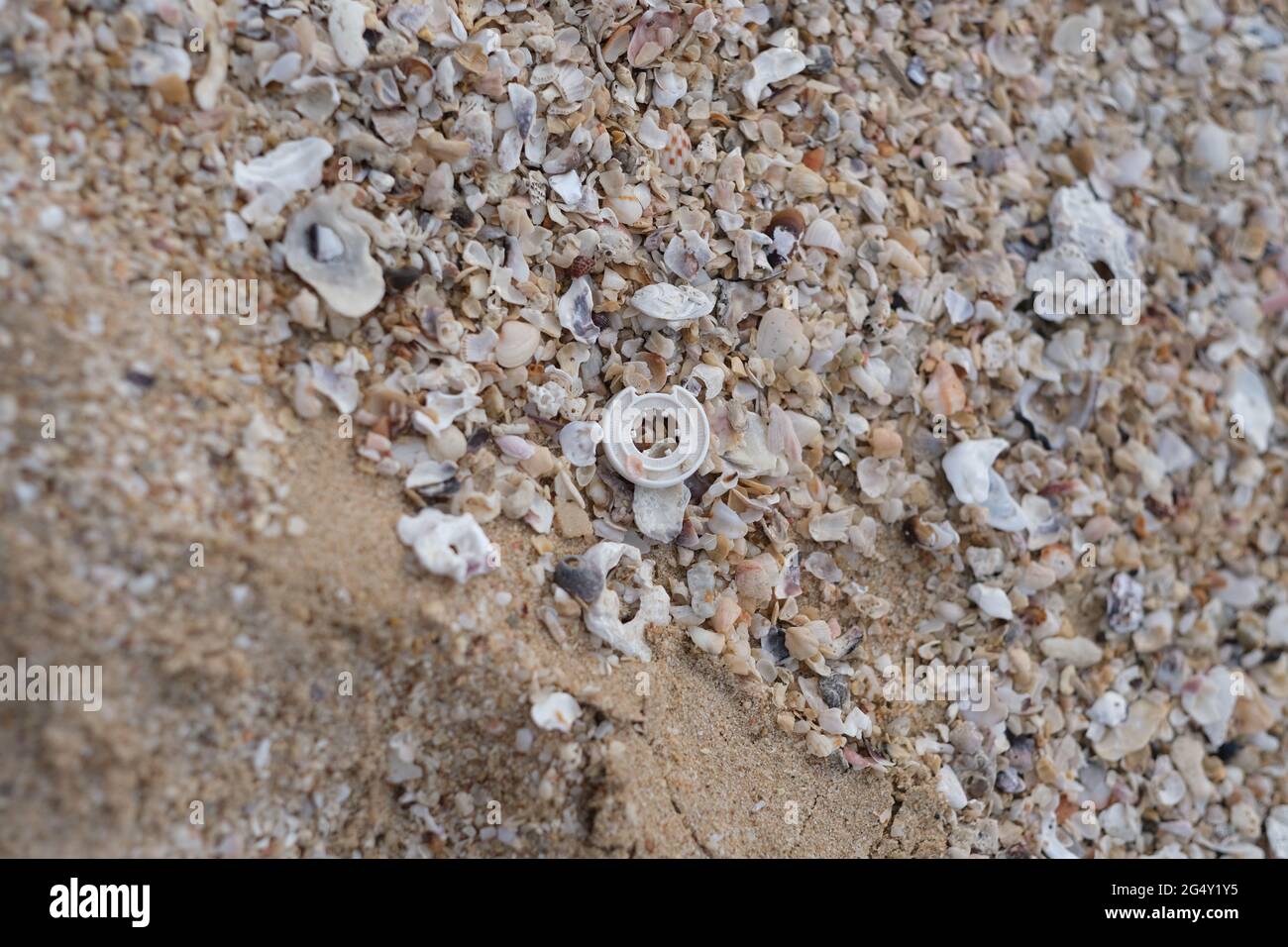Old cassette wheel rests among old shells on an uninhabited beach Stock ...