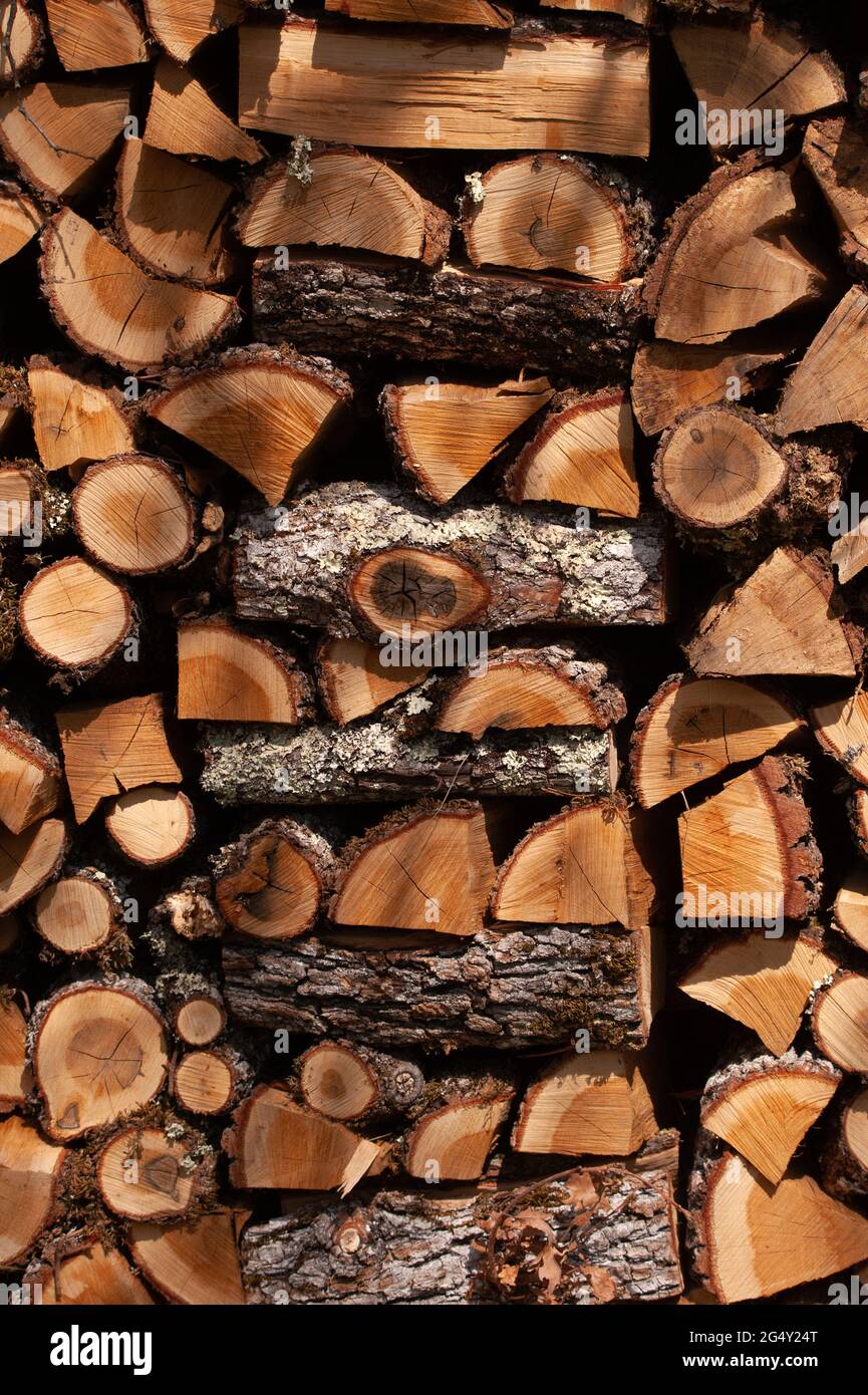Neat wood pile Stock Photo - Alamy