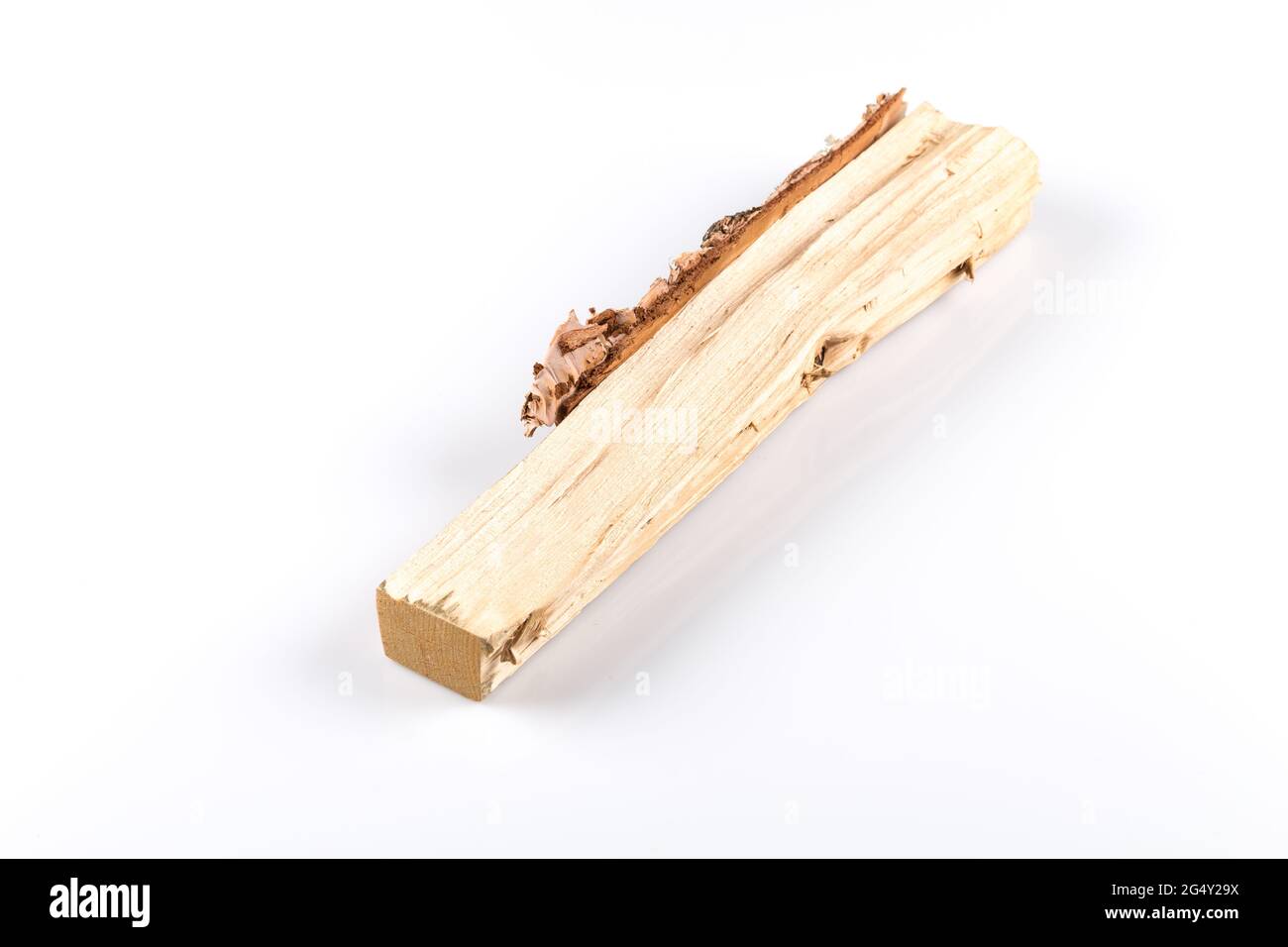 Stack of cut logs firewood from silver birch tree isolated on white ...