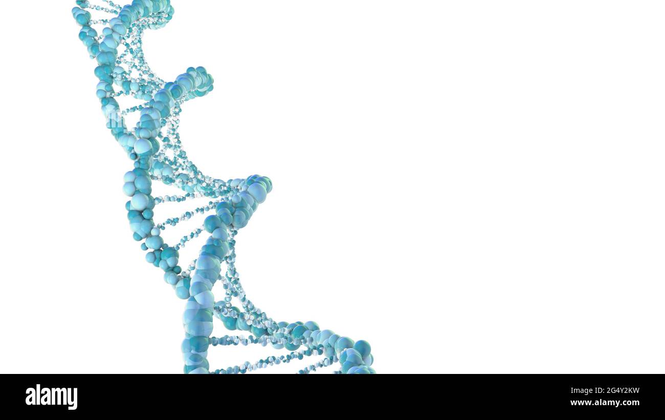 X chromosome, rna hi-res stock photography and images - Alamy