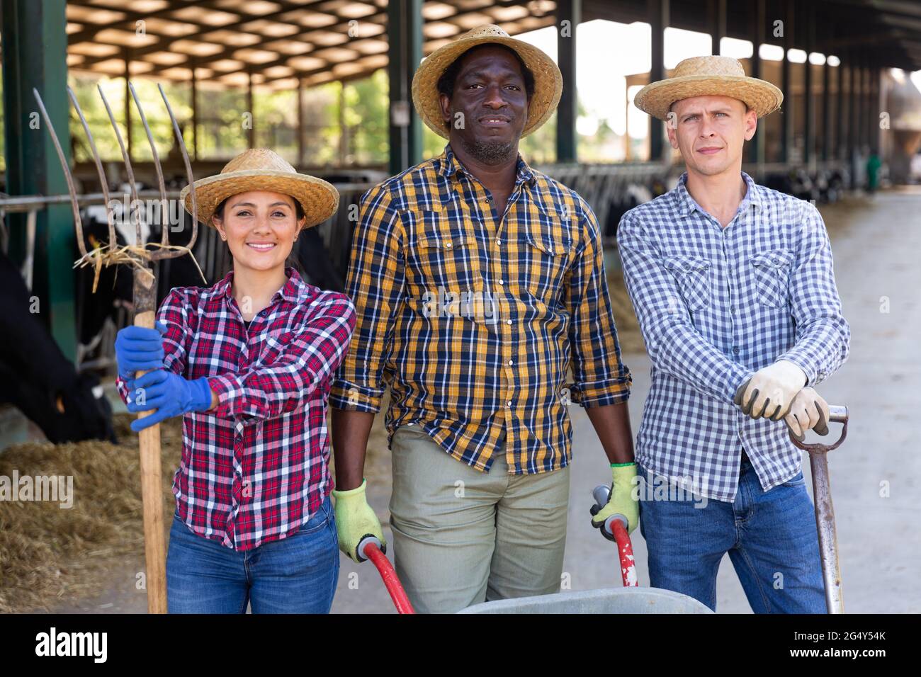 Portrait of proffesional workers posing on cow farm Stock Photo - Alamy
