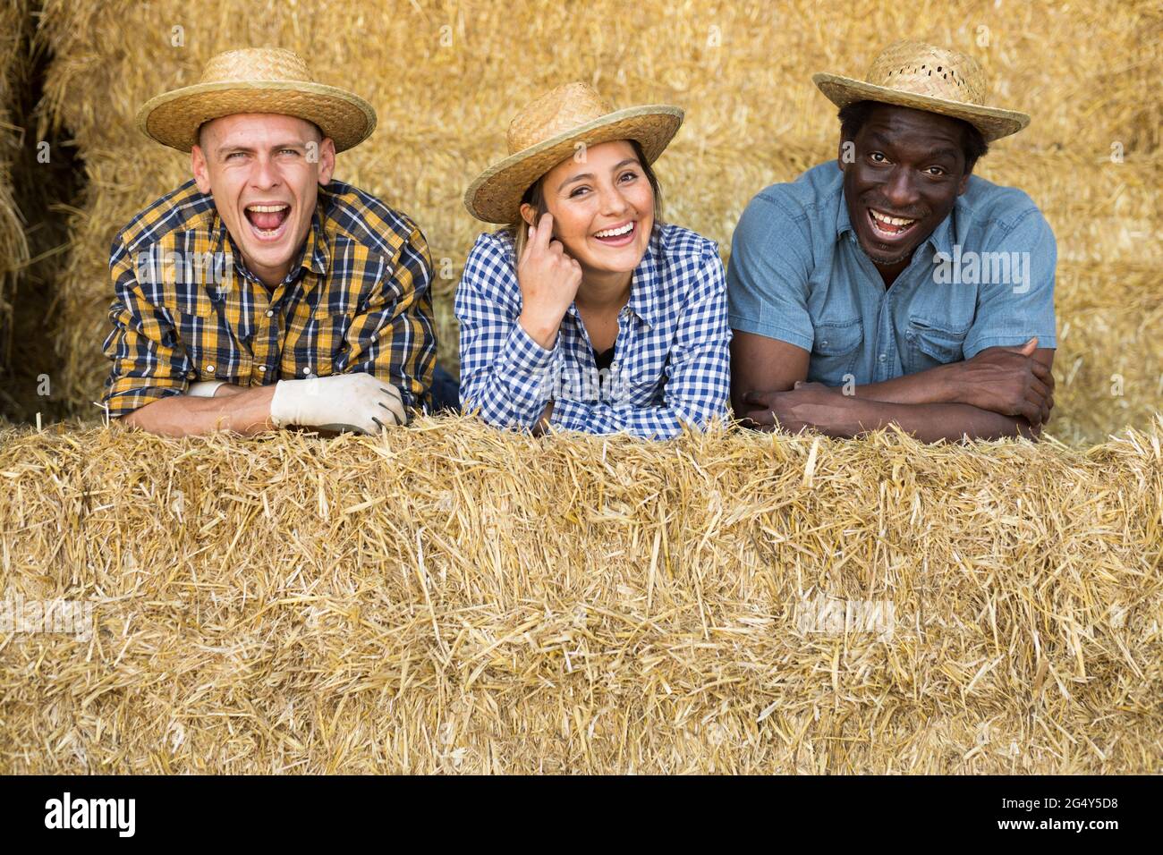 Three cheerful farmers resting lying on haystack Stock Photo - Alamy